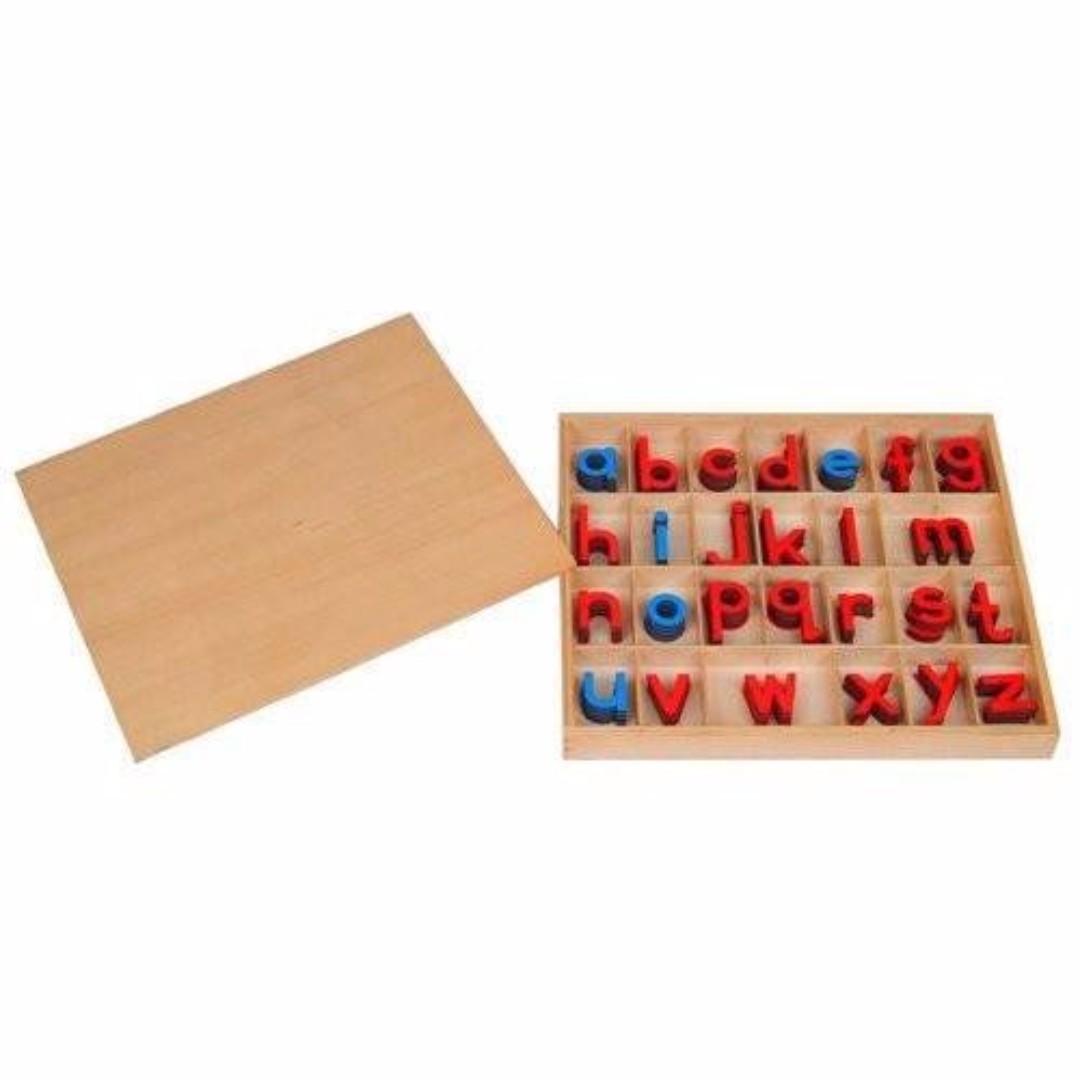 MONTESSORI PHONICS - COMPLETE PINK SCHEME READING KIT WITH LMA, Hobbies ...