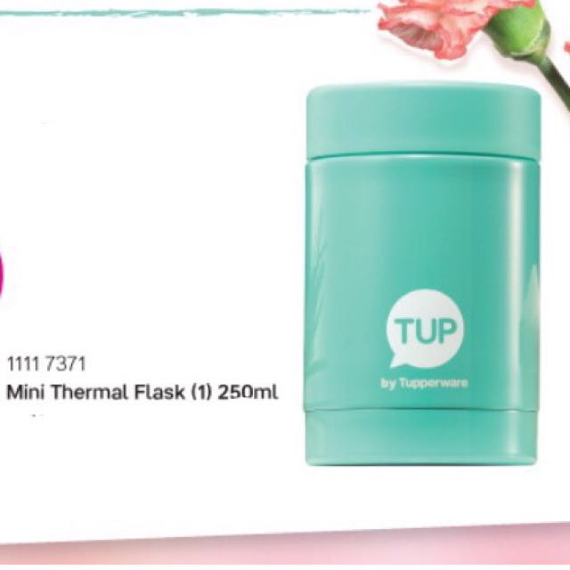 Tupperware Cute Mini Thermal Flask 250ml, TV & Home Appliances, Kitchen ...
