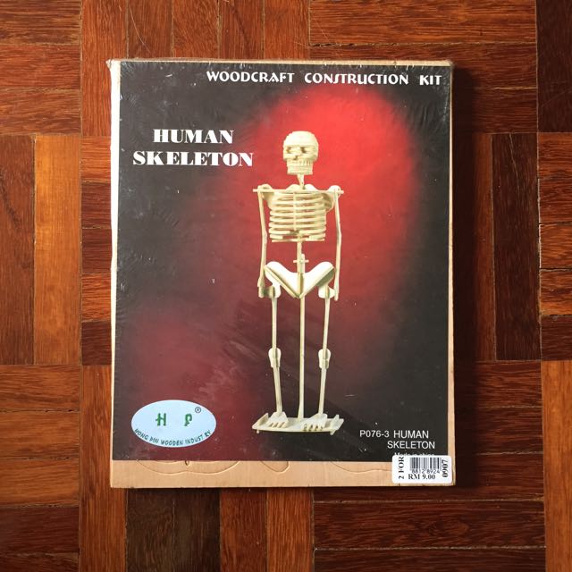 [Free] Woodcraft Construction Kit Human Skeleton, Hobbies & Toys ...