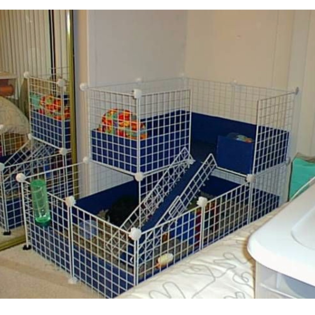 C&C Cage, Pet Supplies, Homes & Other Pet Accessories on Carousell