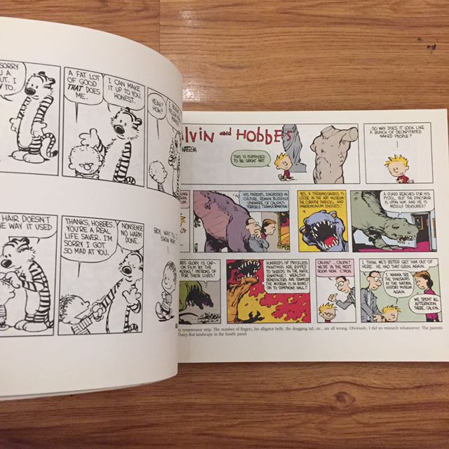 The Calvin And Hobbes Tenth Anniversary Book, Hobbies & Toys, Books ...