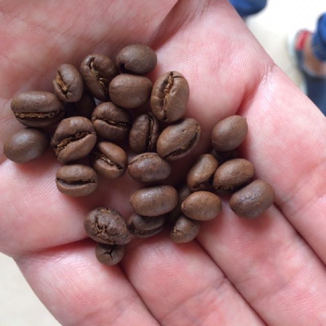 Coffee Beans And Powder - Bali Kintamani, Food & Drinks, Beverages on ...