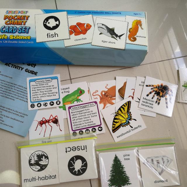 Life Science Pocket Chart Cards, Flashcards, Hobbies & Toys, Books ...