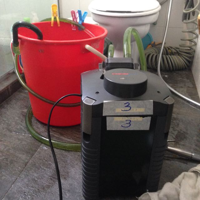 Eheim 2226, Pet Supplies, Homes & Other Pet Accessories on Carousell
