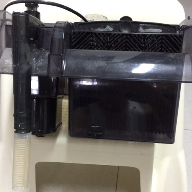 Dolphin H800 Power Filter (hang-on Type), Pet Supplies, Homes & Other ...