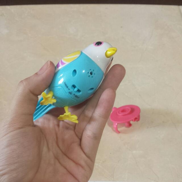 Digibirds Singing Pet Bird, Babies & Kids, Infant Playtime on Carousell