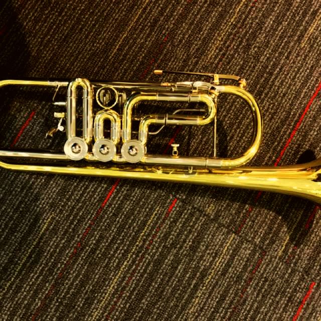 New Rotary Trumpet, Hobbies & Toys, Music & Media, Musical Instruments ...