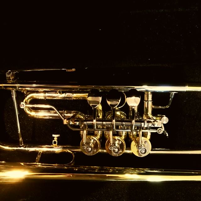 New Rotary Trumpet, Hobbies & Toys, Music & Media, Musical Instruments ...