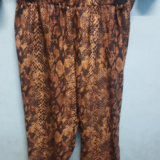 Rare Snake Skin Pants, Men's Fashion, Bottoms, Trousers on Carousell