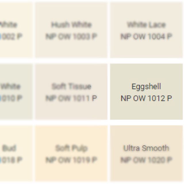 WALL PAINT & White Wash, Furniture & Home Living, Home Decor, Wall ...