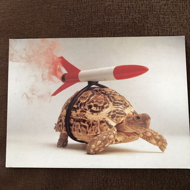Postcard Rocket Turtle, Hobbies & Toys, Collectibles & Memorabilia ...