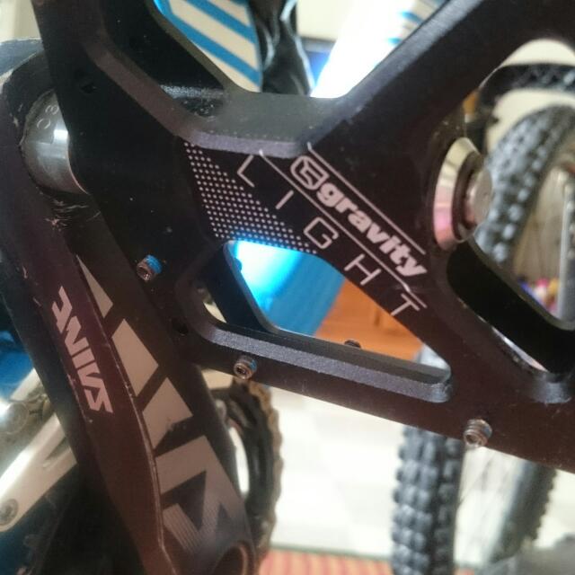 Crankset: Shimano Saint Crank, eThirtheen Chainring and ring hive ...