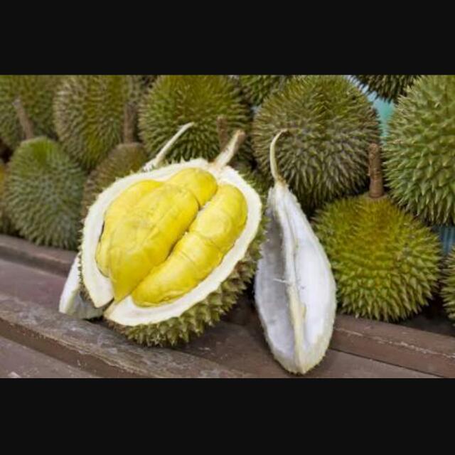 Batam Durian Packages, Everything Else on Carousell
