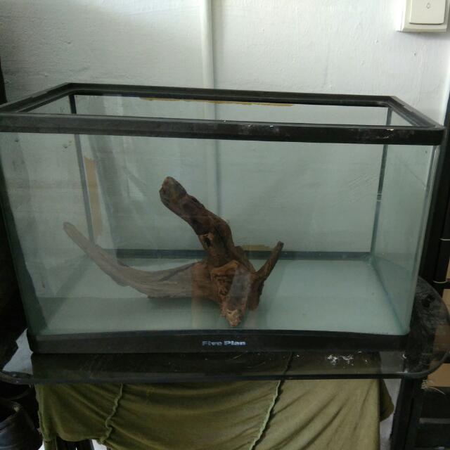 Fish Tank 2 Ft, Pet Supplies, Homes & Other Pet Accessories on Carousell