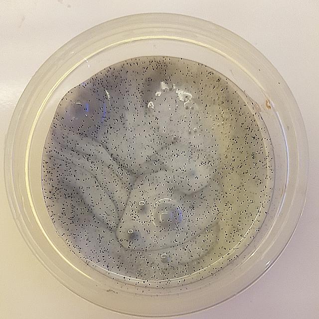 Oreo Slime, Hobbies & Toys, Stationery & Craft, Craft Supplies & Tools ...