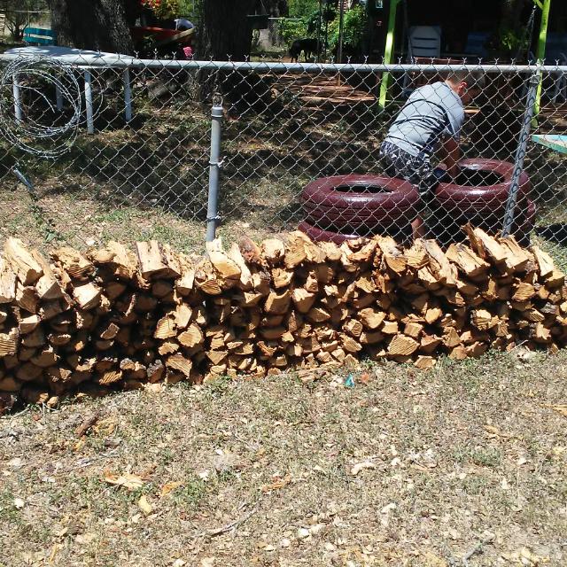 Split Oak Wood, Everything Else on Carousell