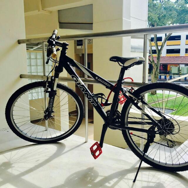 GIANT BRAND BICYCLE, Everything Else on Carousell