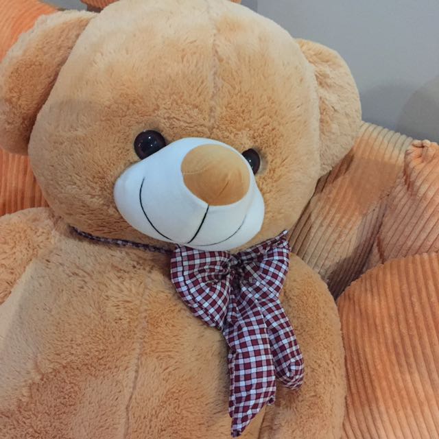 Giant Teddy Bear, Hobbies & Toys, Toys & Games on Carousell