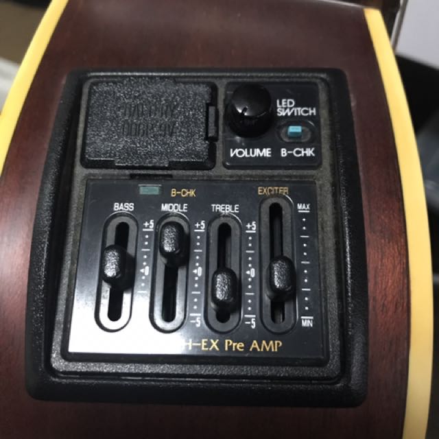 Takamine EN10-12 12 Strings MIJ(Rare), Hobbies & Toys, Music & Media ...