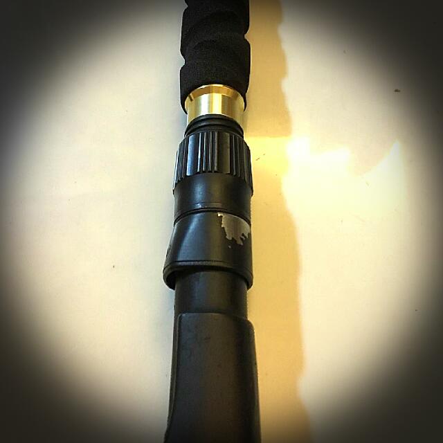 Shimano OCEA Blue Rose Jigging Rod, Sports Equipment, Fishing on Carousell