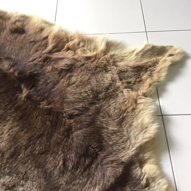 Kangaroo Fur Pelt, Furniture & Home Living, Home Decor, Other Home ...