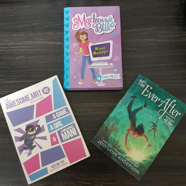 BOOK CLEARANCE : The Awesome MRT diaries and others !, Hobbies & Toys ...