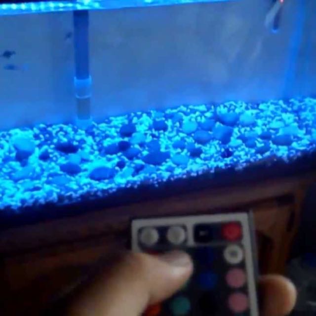 LED RGB LIGHT 2 meter, Furniture & Home Living, Lighting & Fans ...