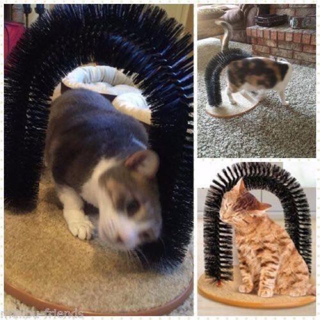 Pemberus/Sikat bulu kucing, Pet Supplies, Health & Grooming on Carousell