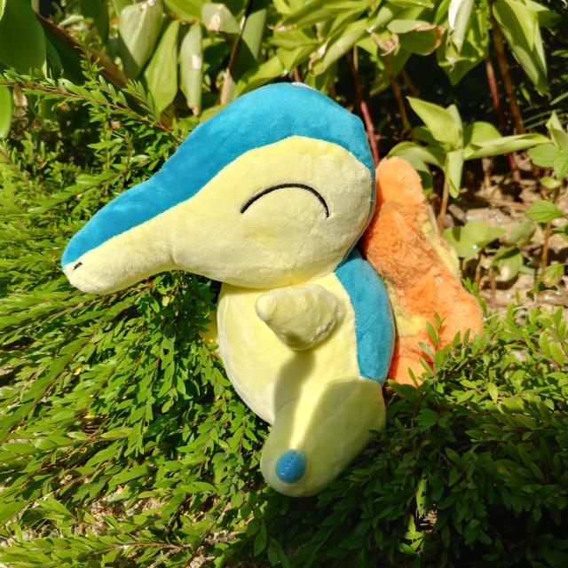 Pokemon Cyndaquil Plush, Hobbies & Toys, Toys & Games on Carousell