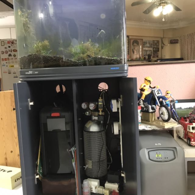 Fish Tanks With Chiller And Carbon Dioxide Dispensor, Pet Supplies ...