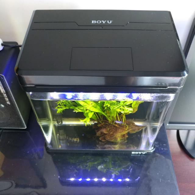 Boyu Fish Tank Set, Pet Supplies, Homes & Other Pet Accessories on ...