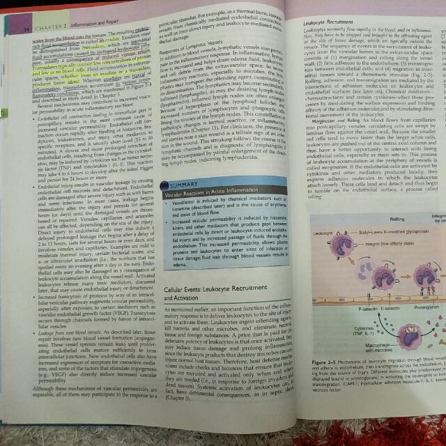 Robbins Basic Pathology 9th Edition (international Edition), Hobbies & Toys, Books & Magazines ...