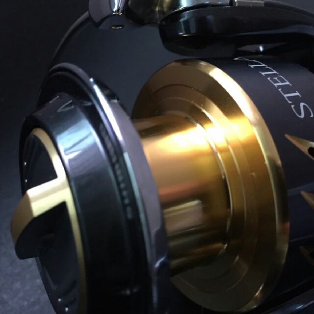 Shimano 2013 Stella SW6000PG, Sports Equipment, Fishing on Carousell