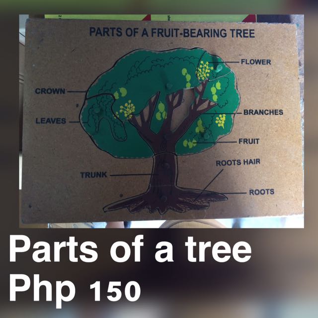 Parts Of A Tree Puzzle, Babies & Kids, Infant Playtime on Carousell