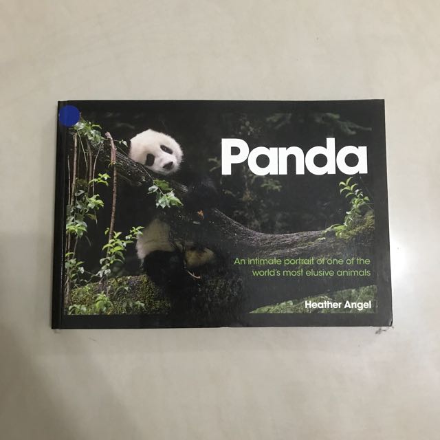 Panda (Photobook), Hobbies & Toys, Books & Magazines, Children's Books ...