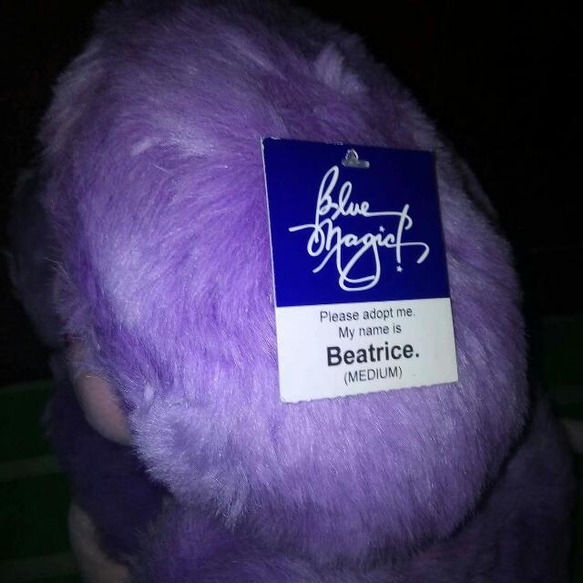 BLUE MAGIC TEDDY BEAR, Hobbies & Toys, Toys & Games on Carousell