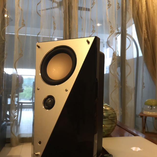 HiVi Swans T200b, Audio, Other Audio Equipment on Carousell