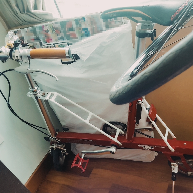 Carryme SD Red (Pacific Cycles Carry Me), Sports Equipment, Bicycles ...