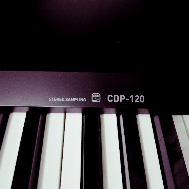 Digital Piano Casio CDP-120, Hobbies & Toys, Music & Media, Musical Instruments on Carousell