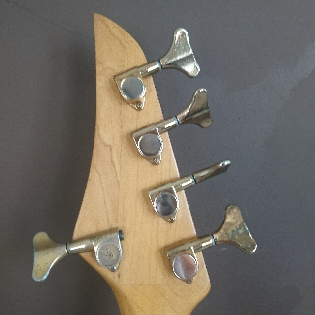 Maison Fretless Bass 5 Strings, Hobbies & Toys, Music & Media, Musical ...