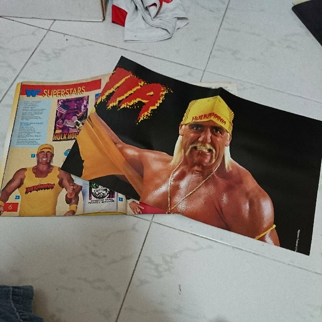 WWF Wrestling Spotlight Volume 21 Magazine Hulk Hogan 1991, Hobbies ...