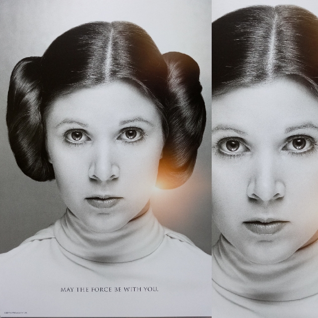 Star Wars Princess Leia Poster, Everything Else on Carousell