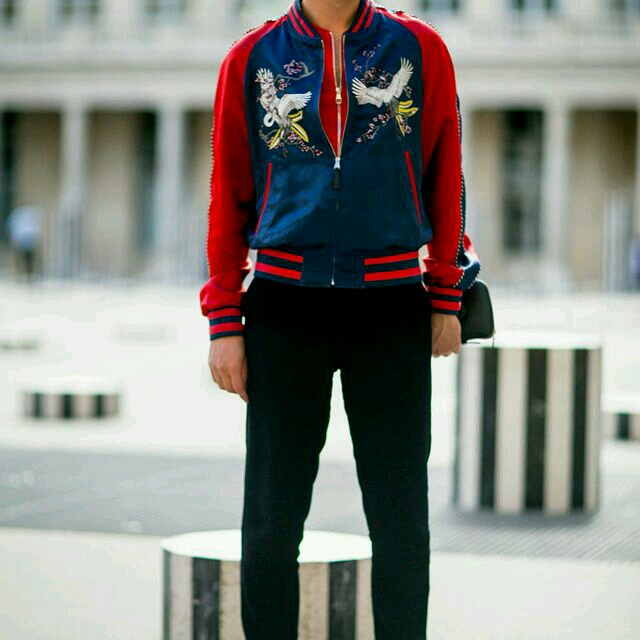 Yoins Red and Blue Mens Bomber javket with Embroidery Swan pattern, Men ...