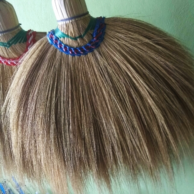 Walis Tambo made from bicol on Carousell
