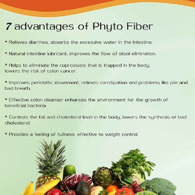 PHHP Phyto Fiber, Health & Nutrition, Health Supplements, Health Food ...