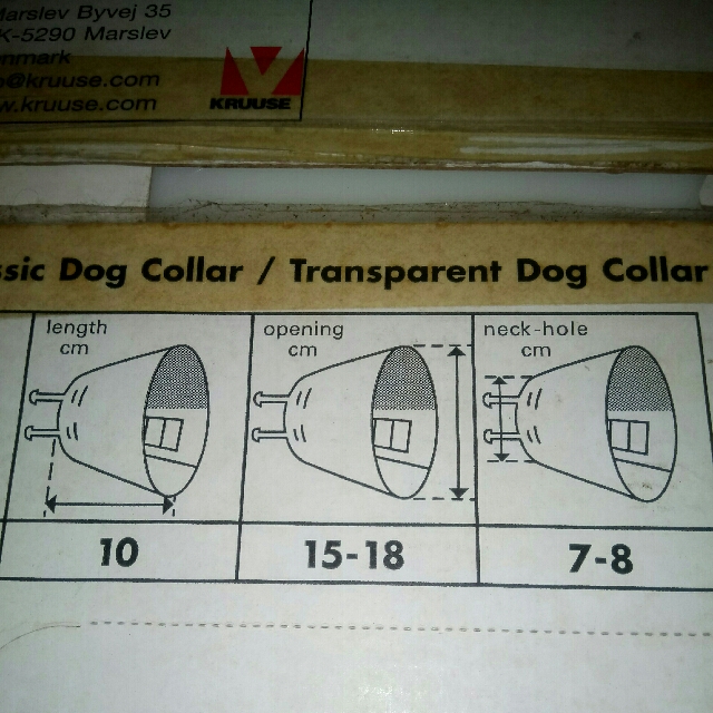 BUSTER ELIZABETH dog collar, Pet Supplies, Health & Grooming on Carousell