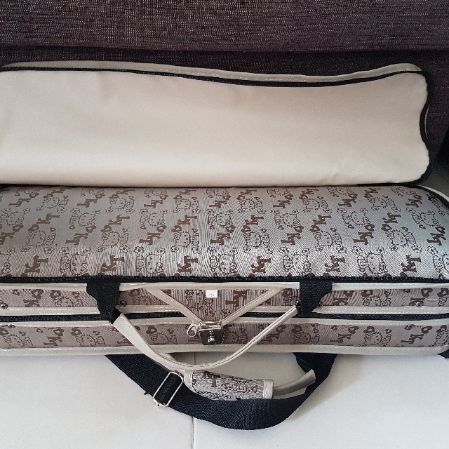 Violin Hard Case Hello Kitty Design, Hobbies & Toys, Music & Media ...