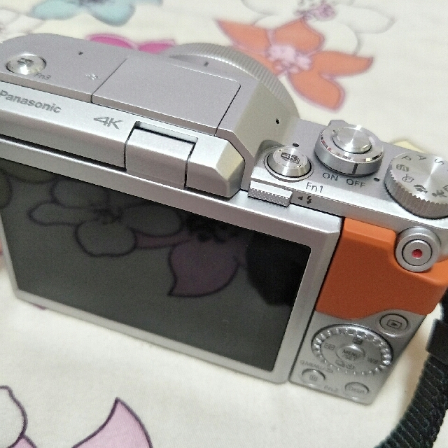 Panasonic Lumix GF9 (USED), Photography, Cameras on Carousell