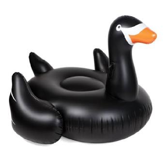 Giant Inflatable Black Swan, Babies & Kids, Infant Playtime on Carousell