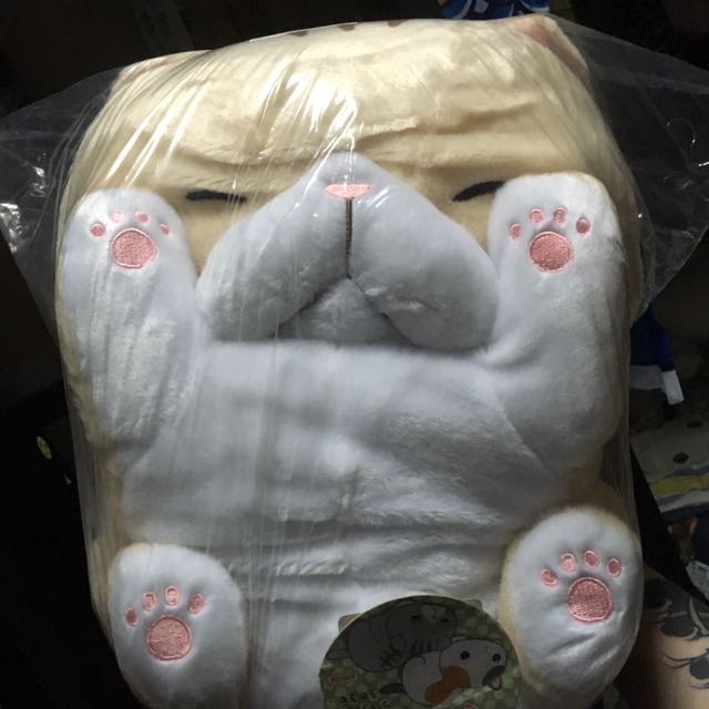 Toreba sleeping cat, Hobbies & Toys, Toys & Games on Carousell